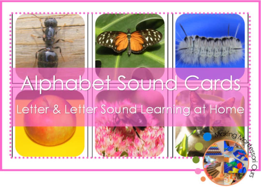Montessori Alphabet Image Sound Cards - Etsy