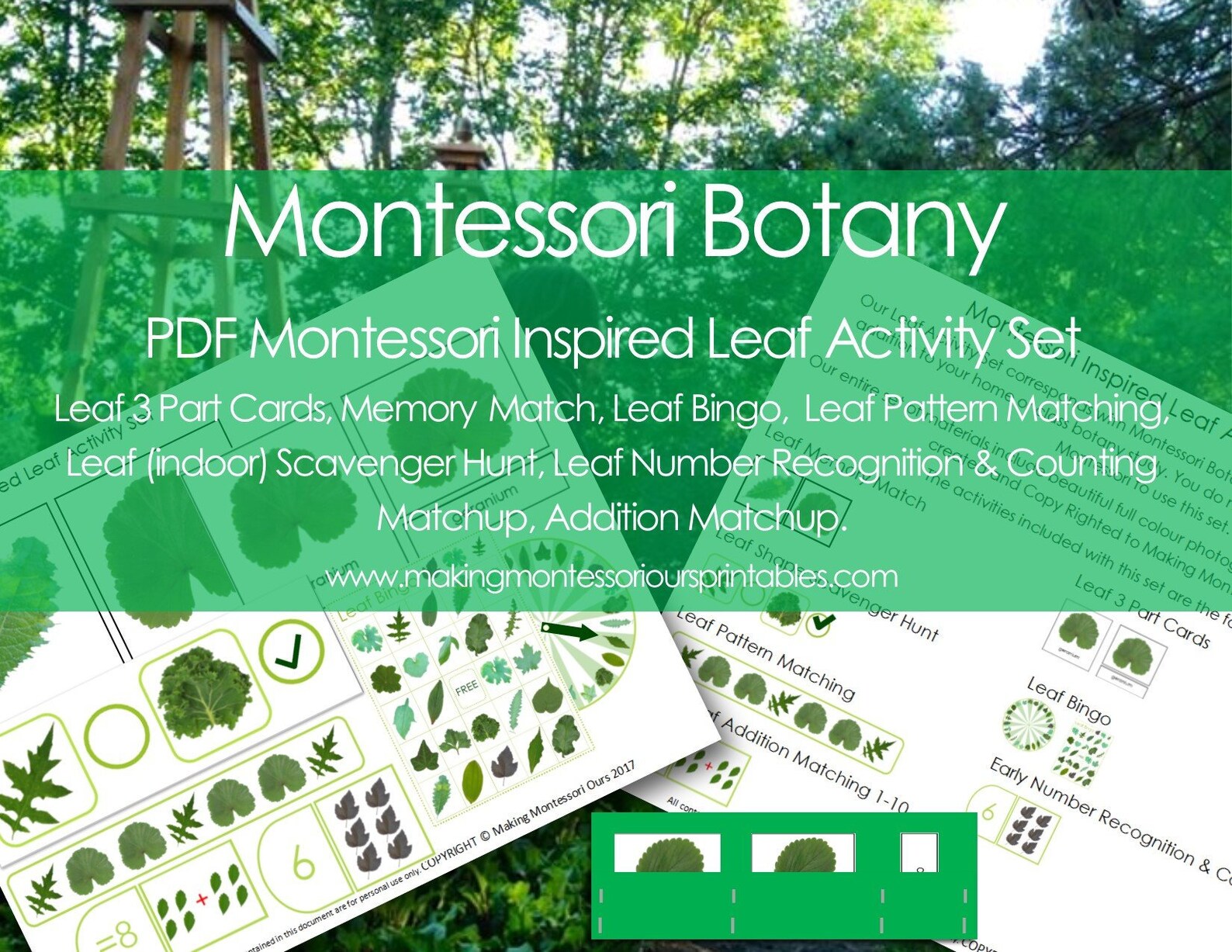 Montessori Leaf Study Activity Set PDF - Etsy
