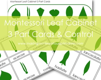 Montessori Leaf Cabinet 3 Part Cards PDF | Etsy