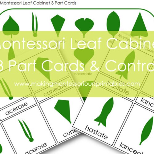 LEAF SHAPES Montessori Cards Flash Cards Three Part - Etsy
