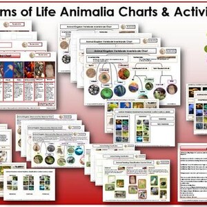 Montessori Six Kingdoms, Animal Kingdom, Animalia Charts, Materials and ...