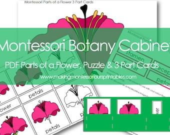 DIGITAL Printable PDF Download to Make Montessori Botany Felt - Etsy