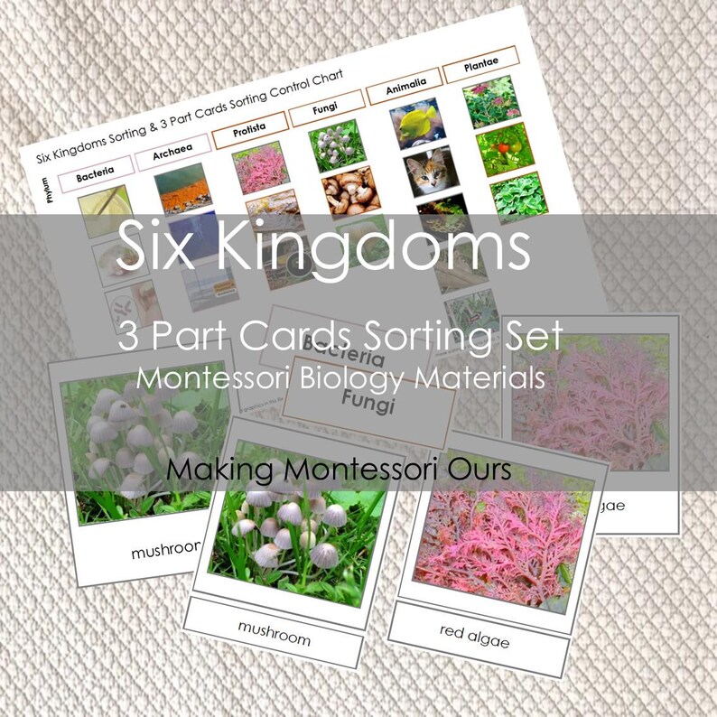 Montessori Six Kingdoms of Life Charts, Materials & Labels Printable ...
