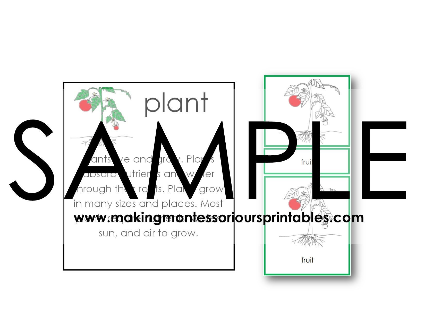 Montessori Parts of a Plant Charts, 3 Part Cards, Labels, Life Cycle ...