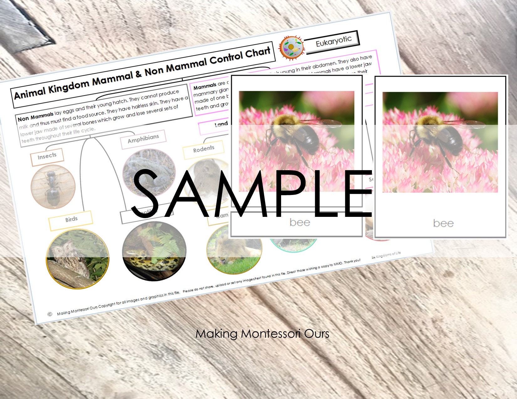 Montessori Six Kingdoms, Animal Kingdom, Animalia Charts, Materials and ...