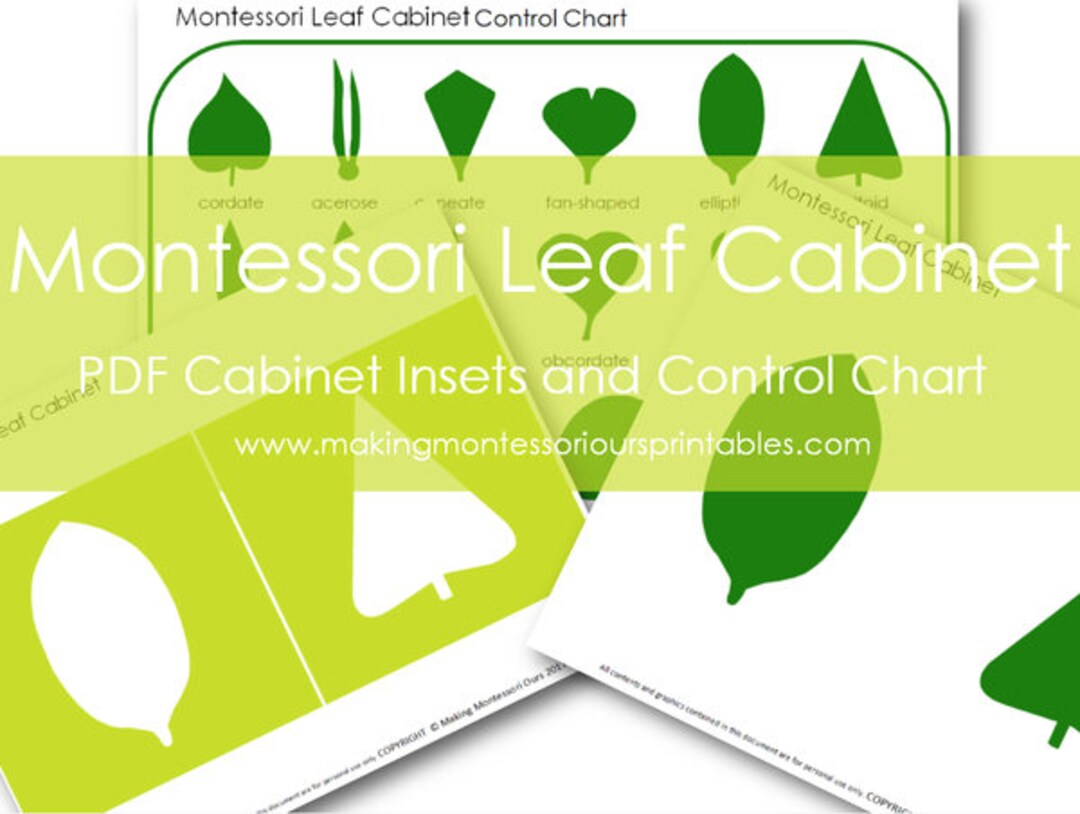 Montessori Leaf Cabinet PDF Materials - Etsy