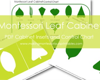 Montessori Leaf Cabinet 3 Part Cards PDF | Etsy