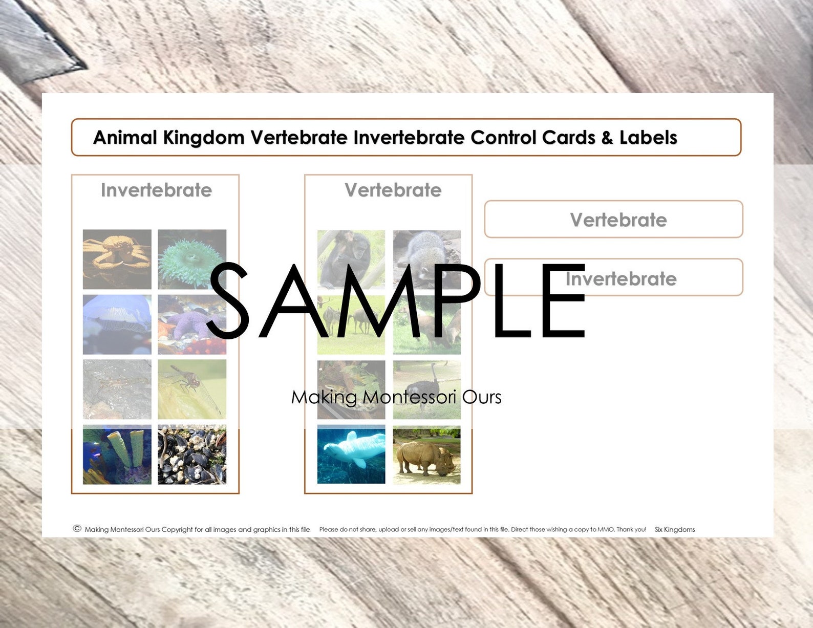 Montessori Six Kingdoms, Animal Kingdom, Animalia Charts, Materials and ...