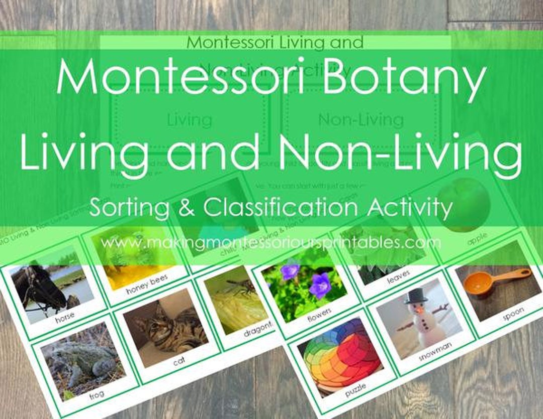 MMO Montessori Botany Living and Non-living Classification and Sorting ...