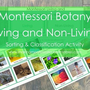 MMO Montessori Botany Living and Non-living Classification and Sorting ...