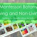 MMO Montessori Botany Living and Non-living Classification and Sorting ...