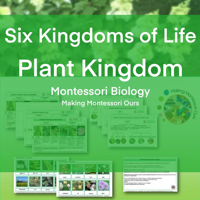 Montessori Six Kingdoms, Plant Kingdom, Plantae Materials & Labels PDF ...