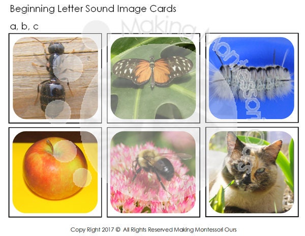Montessori Alphabet Image Sound Cards - Etsy