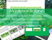 Life Cycle of a Plant Botany Pack Montessori Culture Nature Study ...