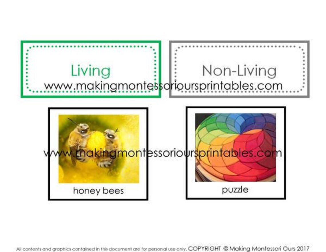MMO Montessori Botany Living and Non-living Classification and | Etsy