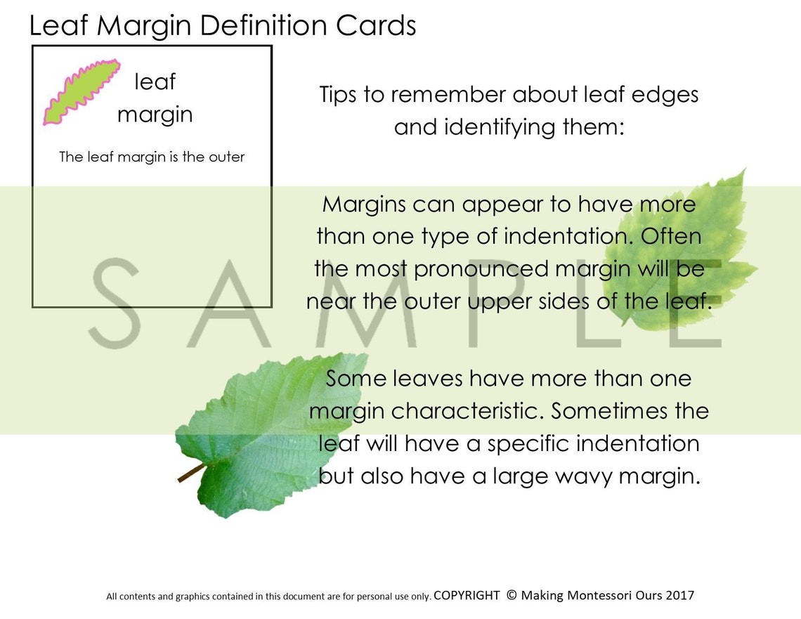 Montessori PDF Leaf Margin Package, 3 Part Cards, & Definitions PDF ...