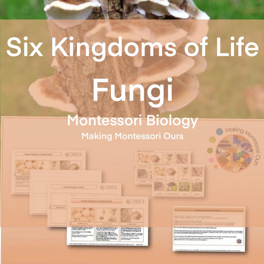 Montessori Six Kingdoms Fungi Chart & Labels Printable PDF Package - Etsy