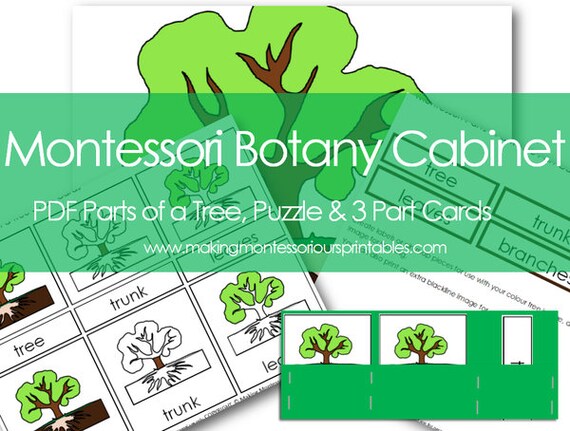 Montessori Botany Cabinet PDF Parts of a Tree 3 Part Cards & | Etsy