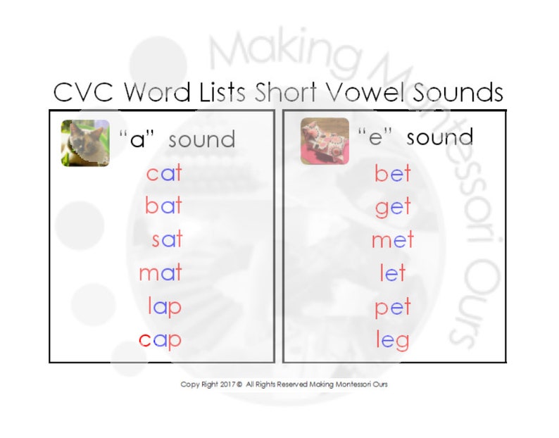 Montessori Phonetic CVC Reading Practice Word Lists PDF - Etsy