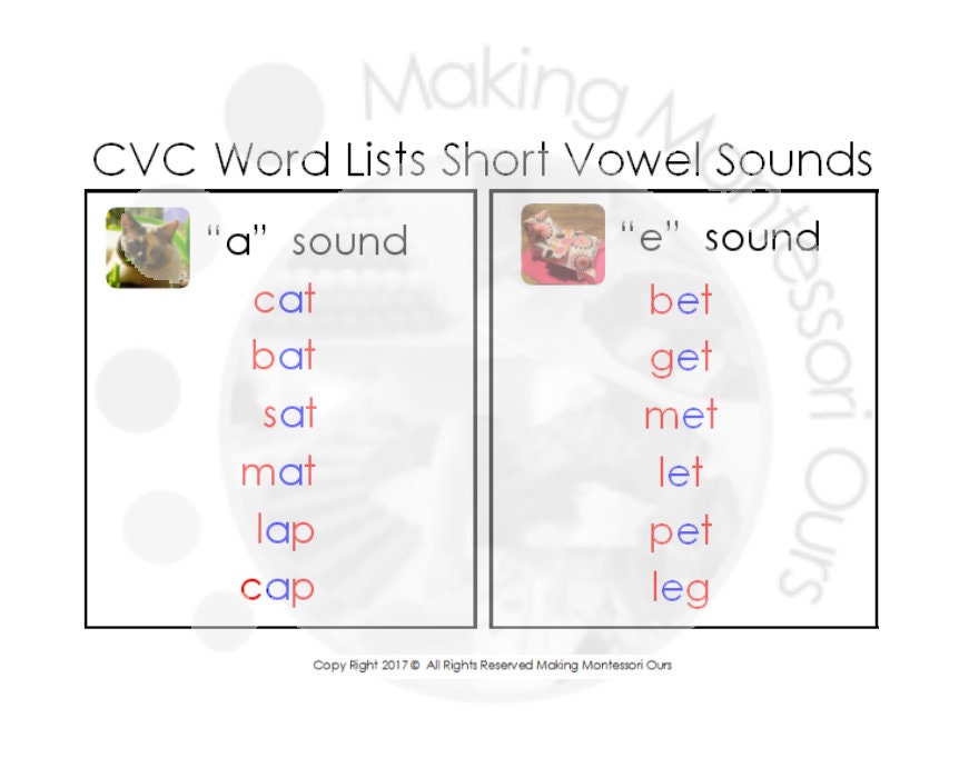 Montessori Phonetic CVC Reading Practice Word Lists PDF - Etsy