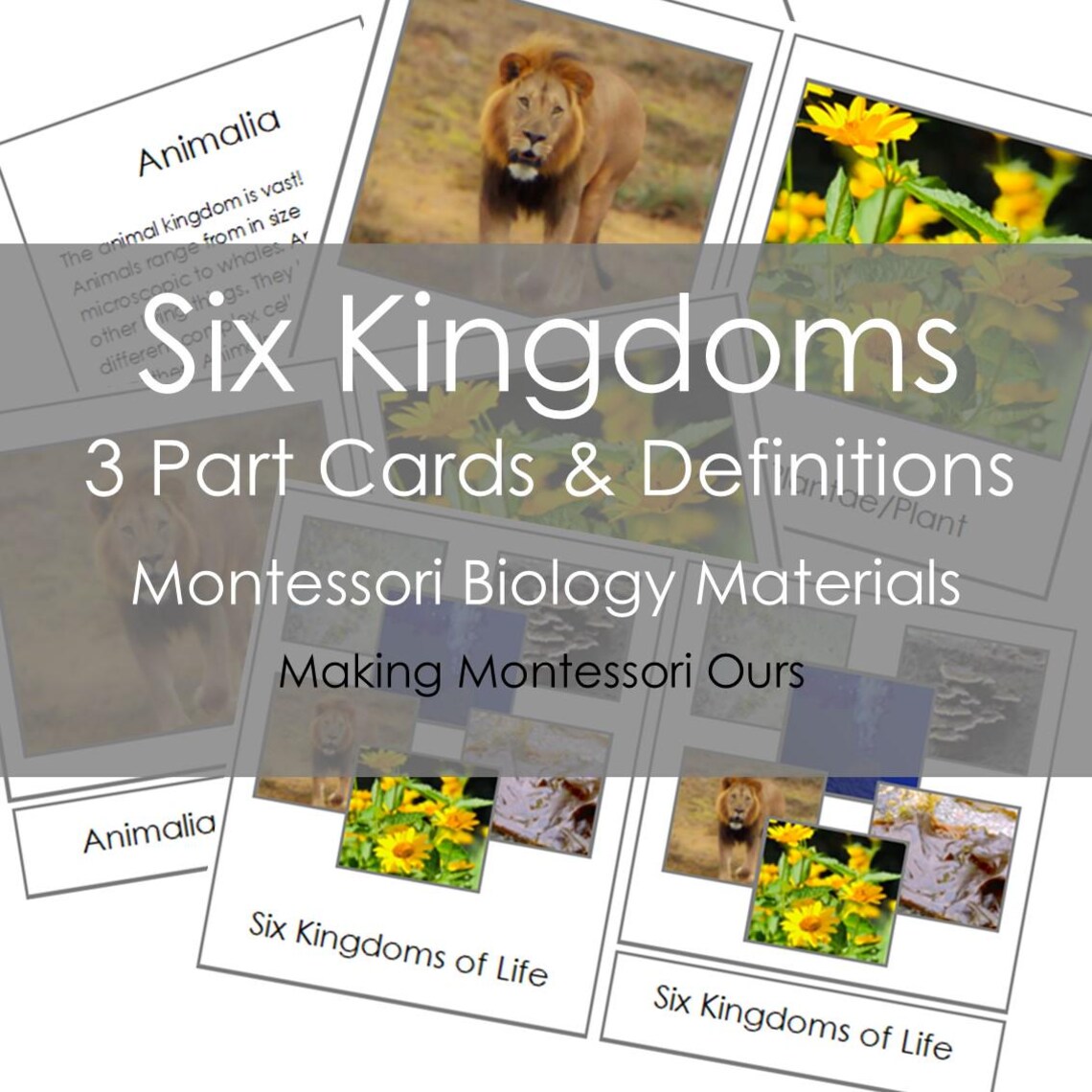 Montessori Six Kingdoms of Life Charts, Materials & Labels Printable ...