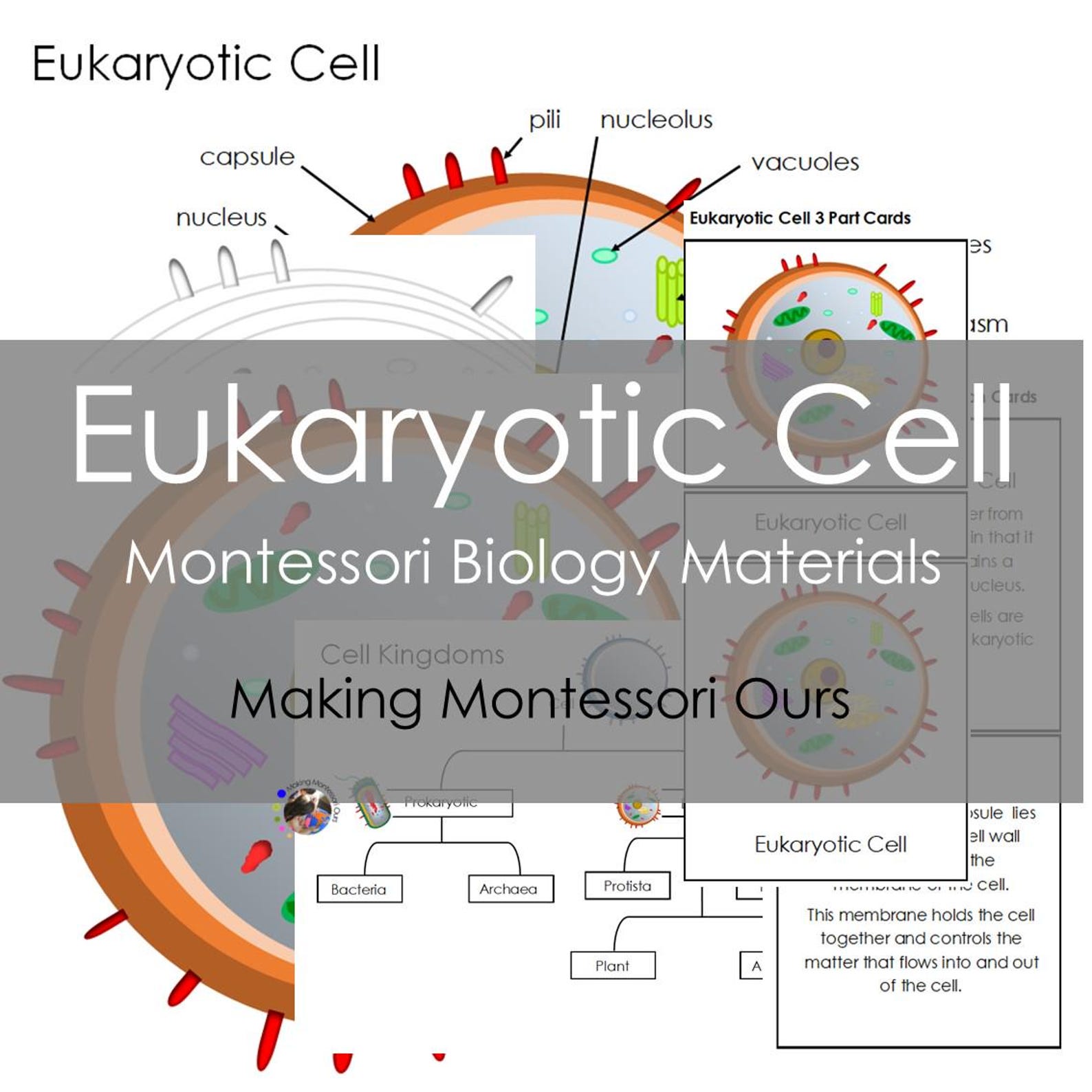 Montessori Six Kingdoms of Life Charts, Materials & Labels Printable ...