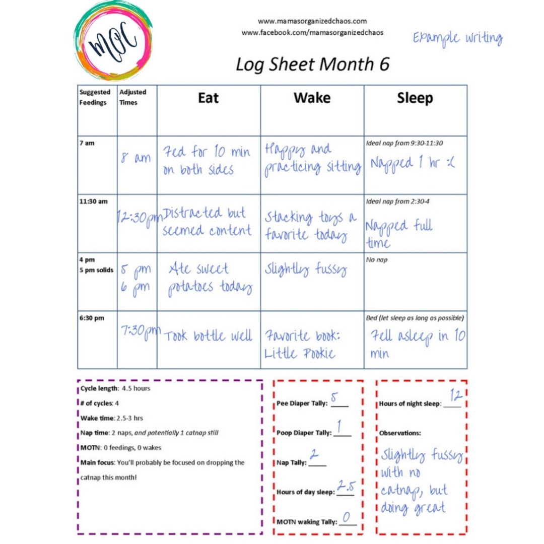 6 Months of Printable Baby Schedules (newborn to 6 Months) - Etsy