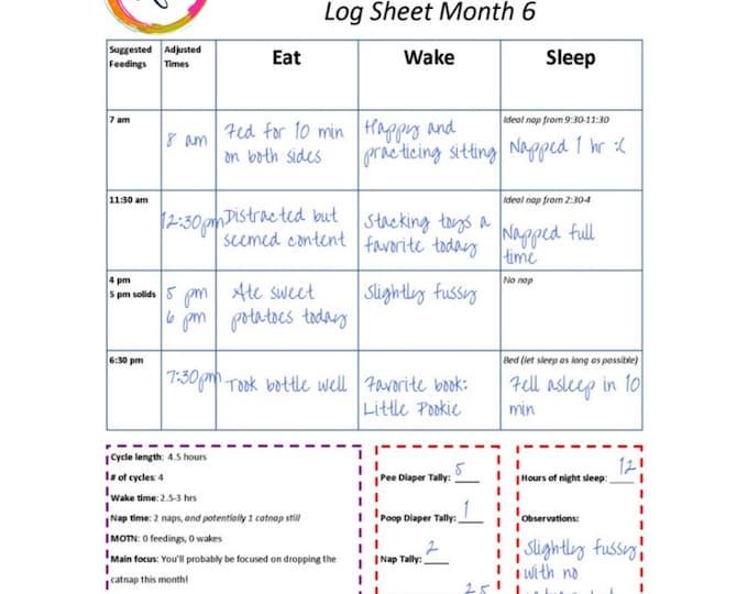 6 Months of Printable Baby Schedules newborn to 6 Months - Etsy