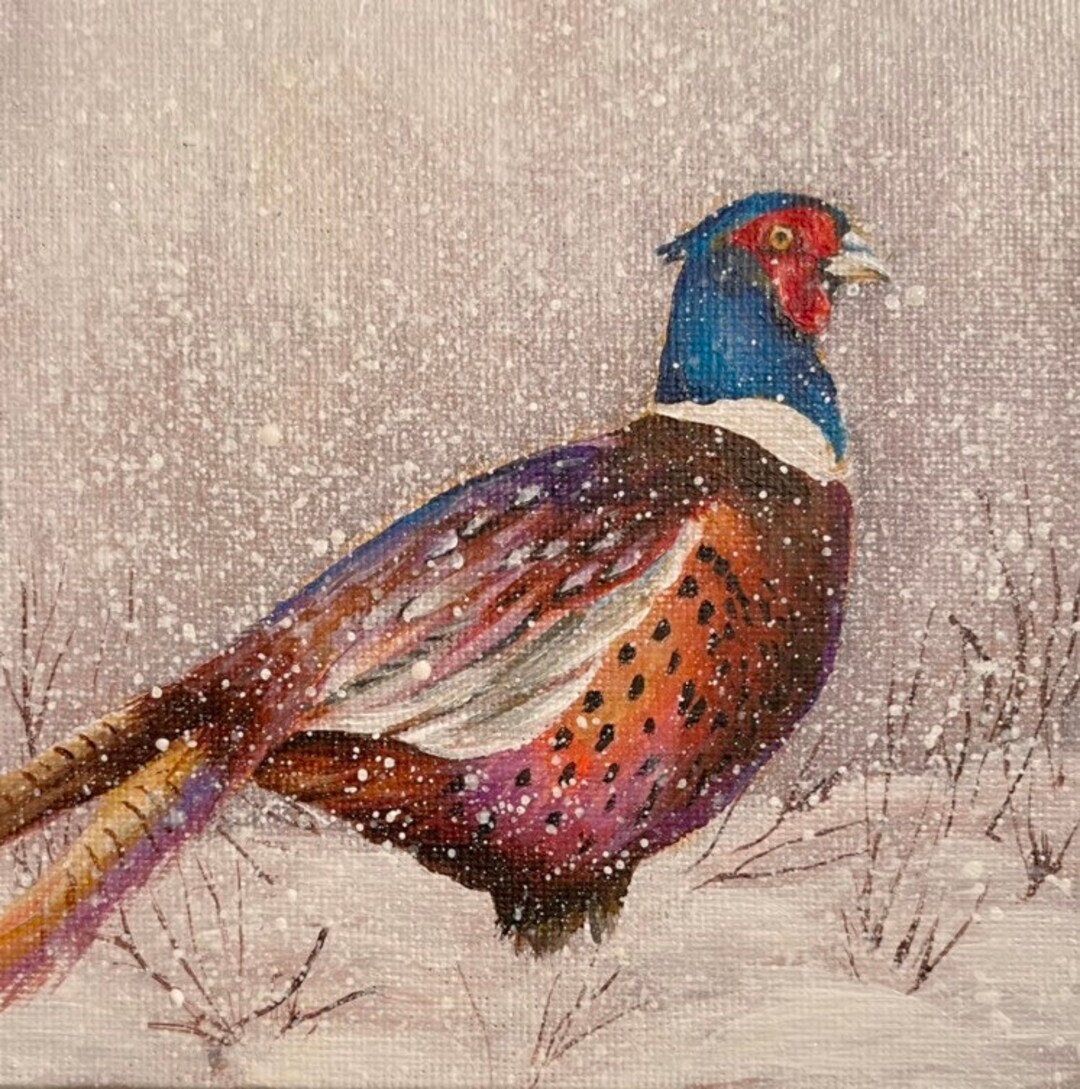 Pheasant in the Snow Print of Original Painting 8x8in - Etsy