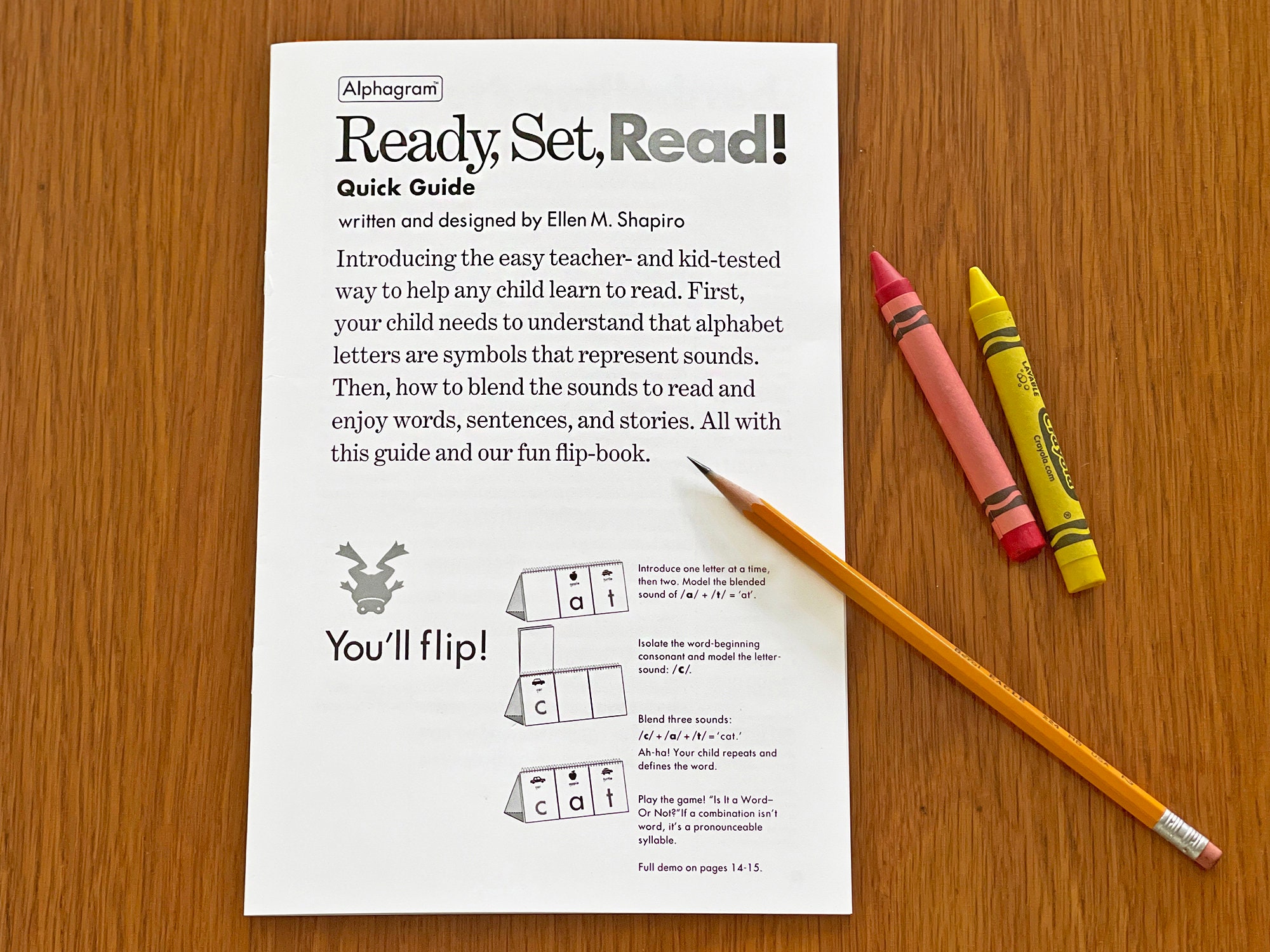 NEW Alphagram Super-quick Guide Reading Readiness - Etsy