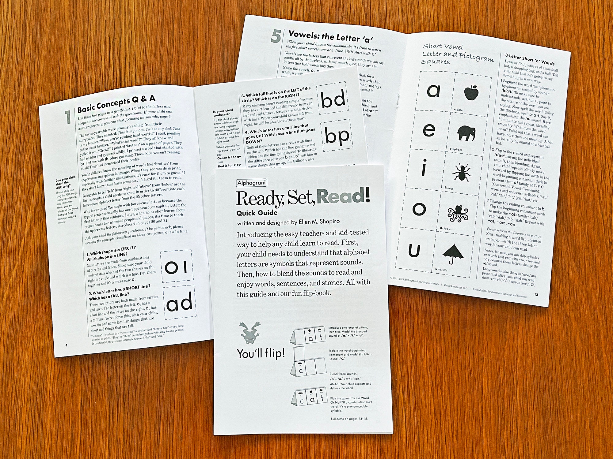 NEW Alphagram Super-quick Guide Reading Readiness - Etsy