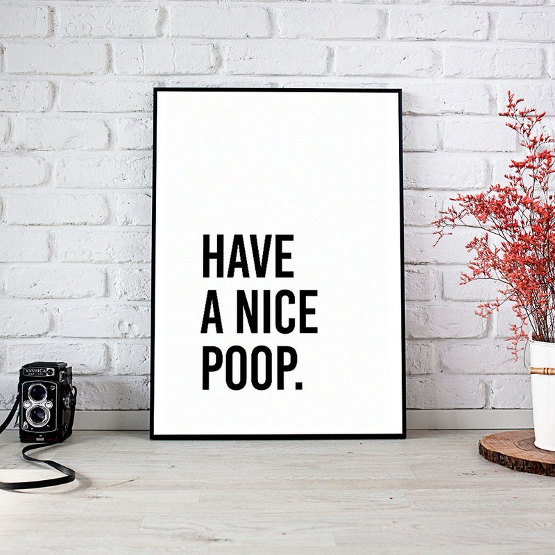 Have a Nice Poop - Etsy