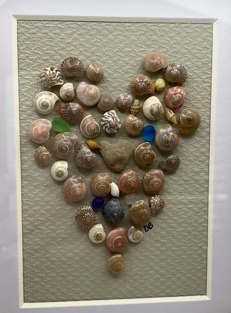 Shell Art Shadow Box Frame Art Snail Shell Art Friend Sister Birthday ...