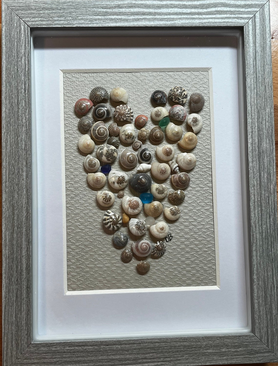 Shell Art Shadow Box Frame Art Snail Shell Art Friend Sister Birthday ...