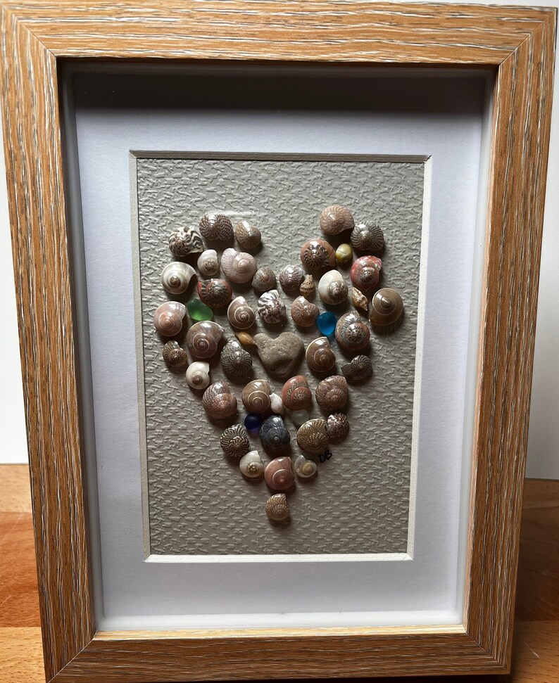 Shell Art Shadow Box Frame Art Snail Shell Art Friend Sister Birthday ...