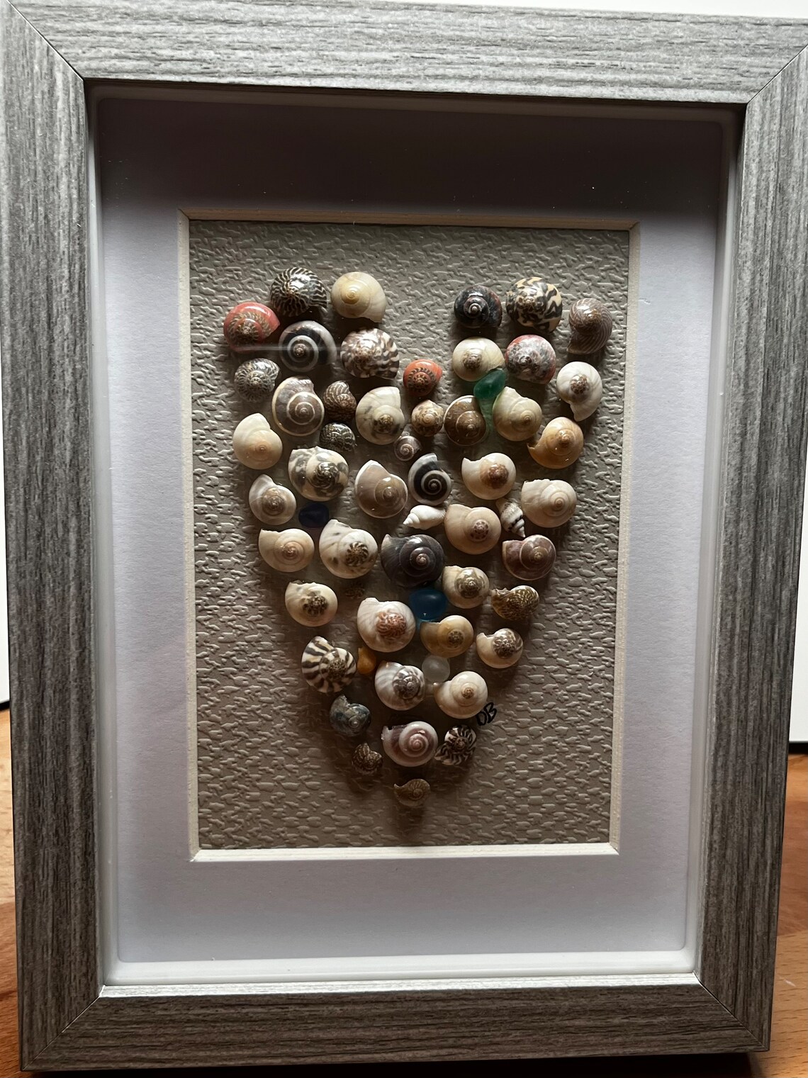 Shell Art Shadow Box Frame Art Snail Shell Art Friend Sister Birthday ...