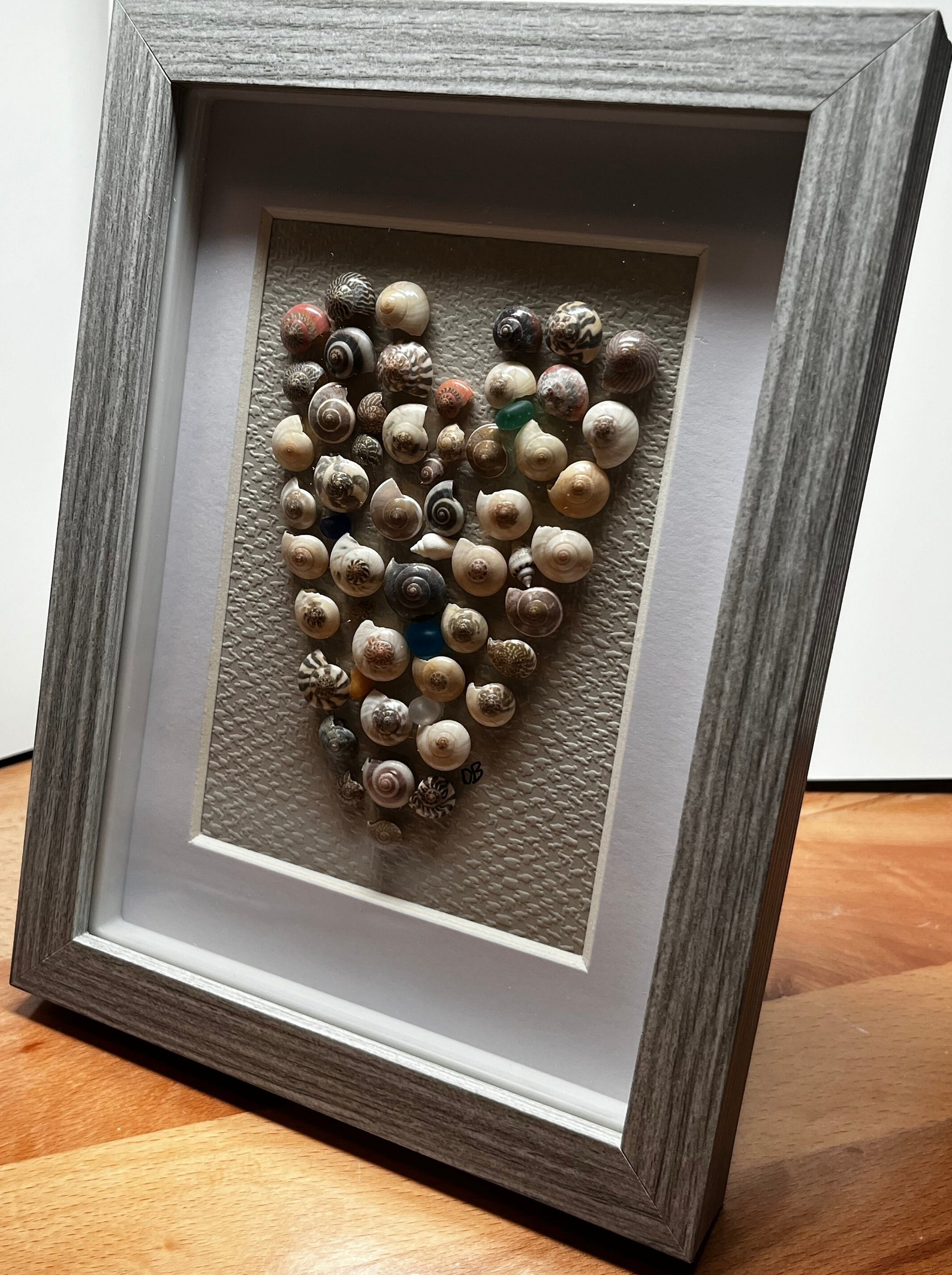 Shell Art Shadow Box Frame Art Snail Shell Art Friend Sister Birthday ...