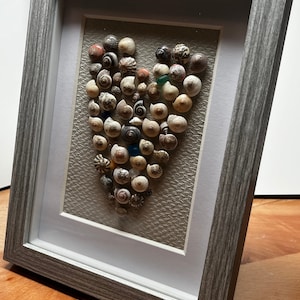 Shell Art Shadow Box Frame Art Snail Shell Art Friend Sister Birthday ...