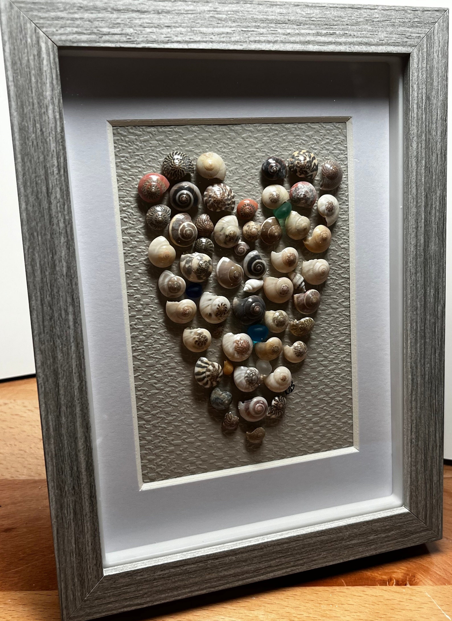 Shell Art Shadow Box Frame Art Snail Shell Art Friend Sister Birthday ...