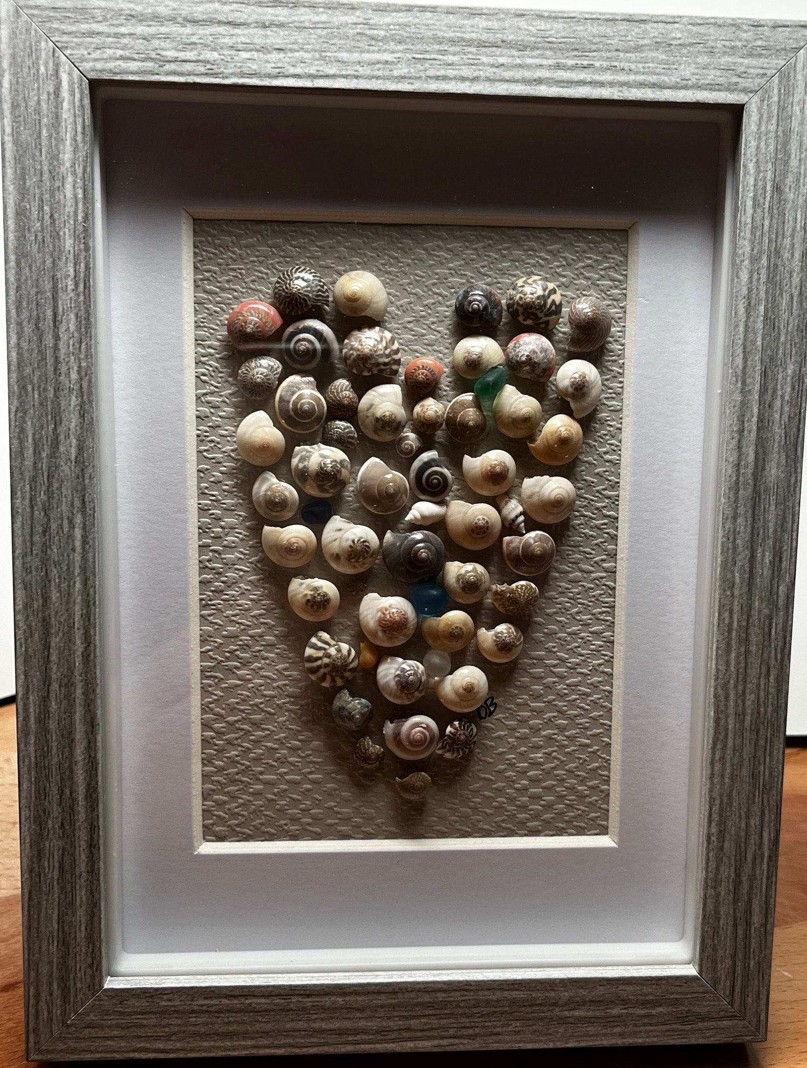 Shell Art Shadow Box Frame Art Snail Shell Art Friend Sister Birthday ...