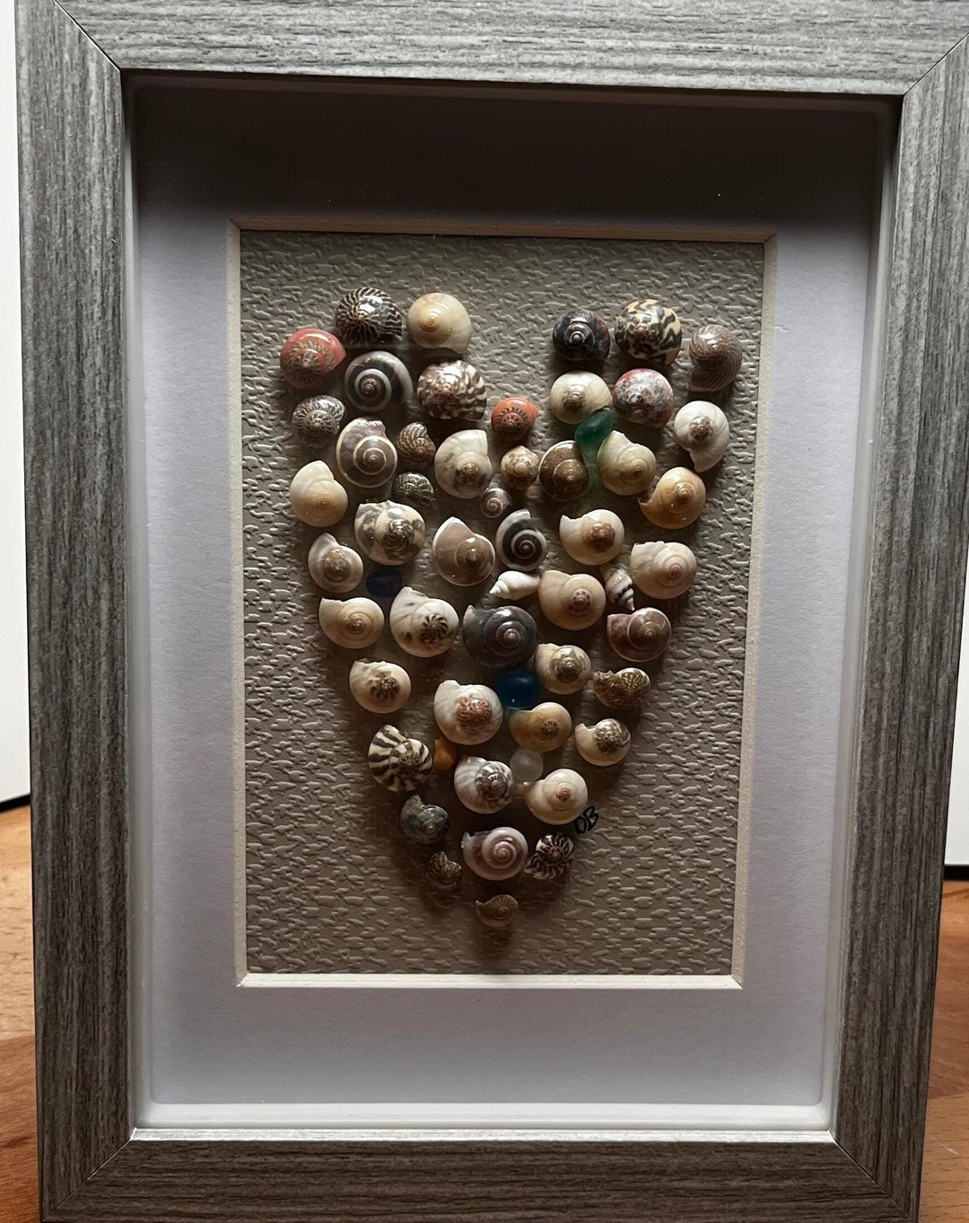 Shell Art Shadow Box Frame Art Snail Shell Art Friend Sister Birthday ...