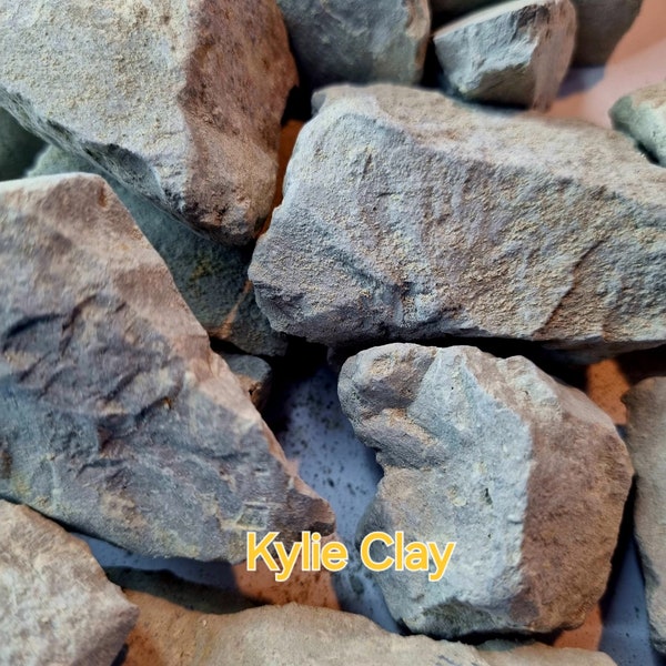 AligatoLilyClay - Etsy