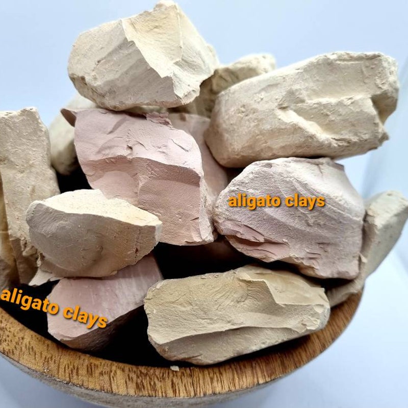 AligatoLilyClay - Etsy