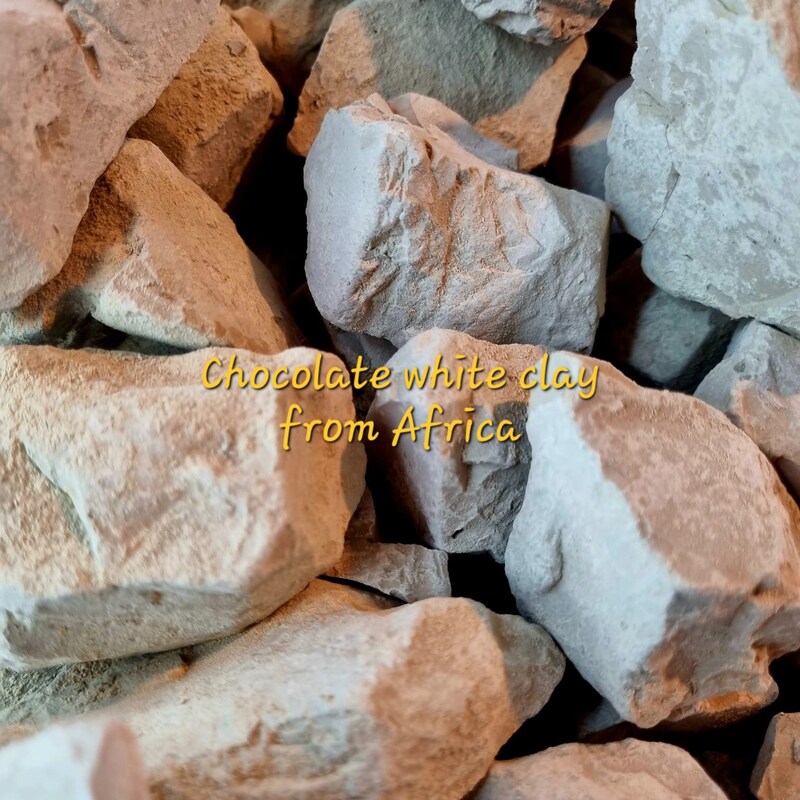 AligatoLilyClay - Etsy