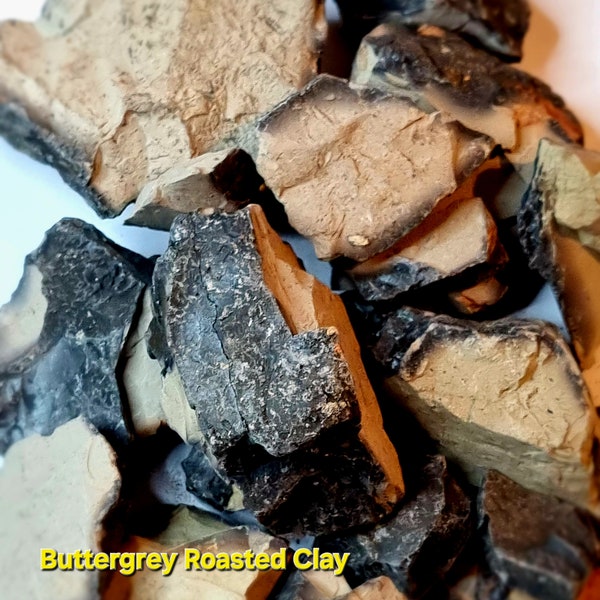 AligatoLilyClay - Etsy
