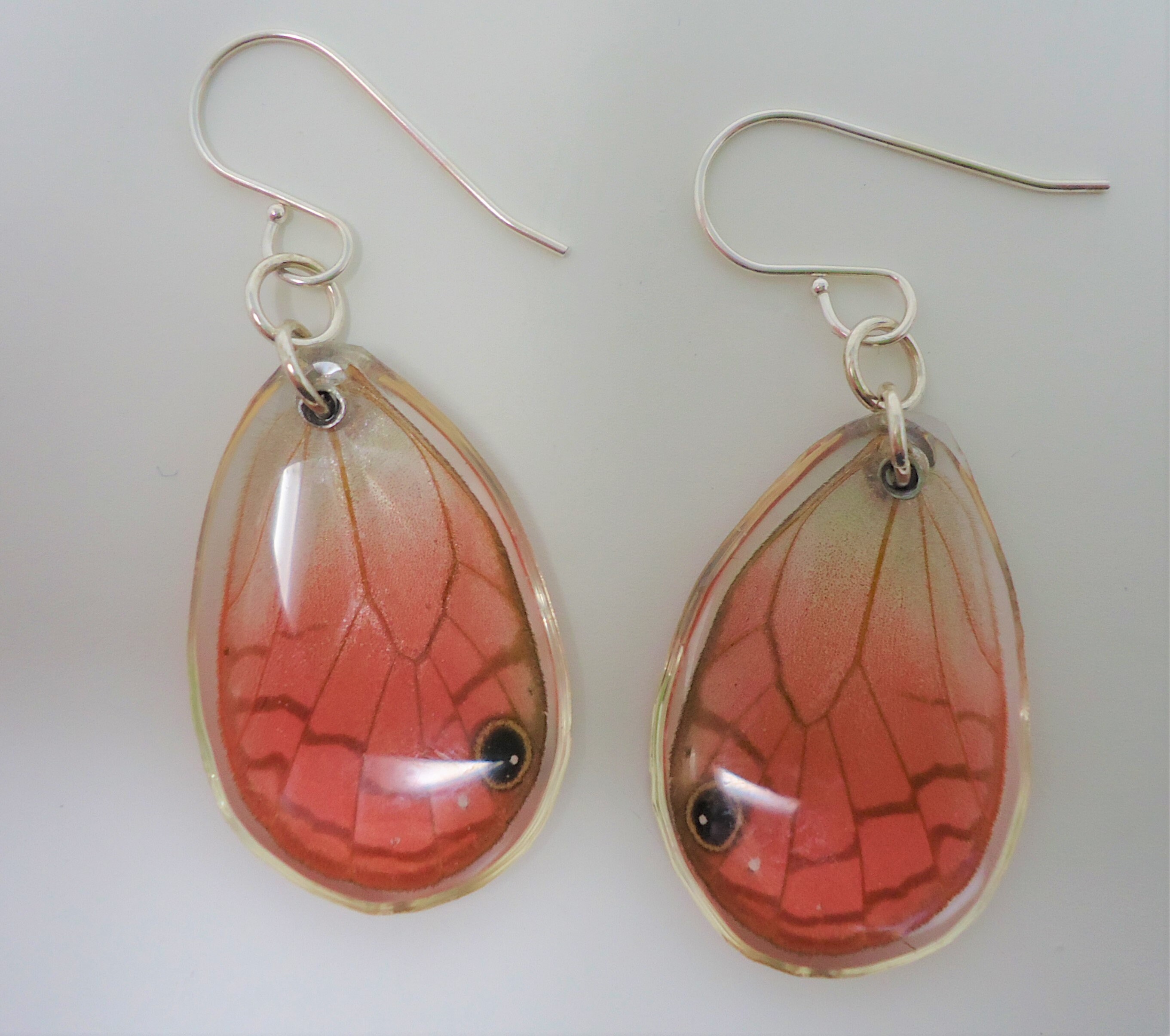 Pink Tipped Satyr Real Butterfly Wing Resin Earrings | Etsy