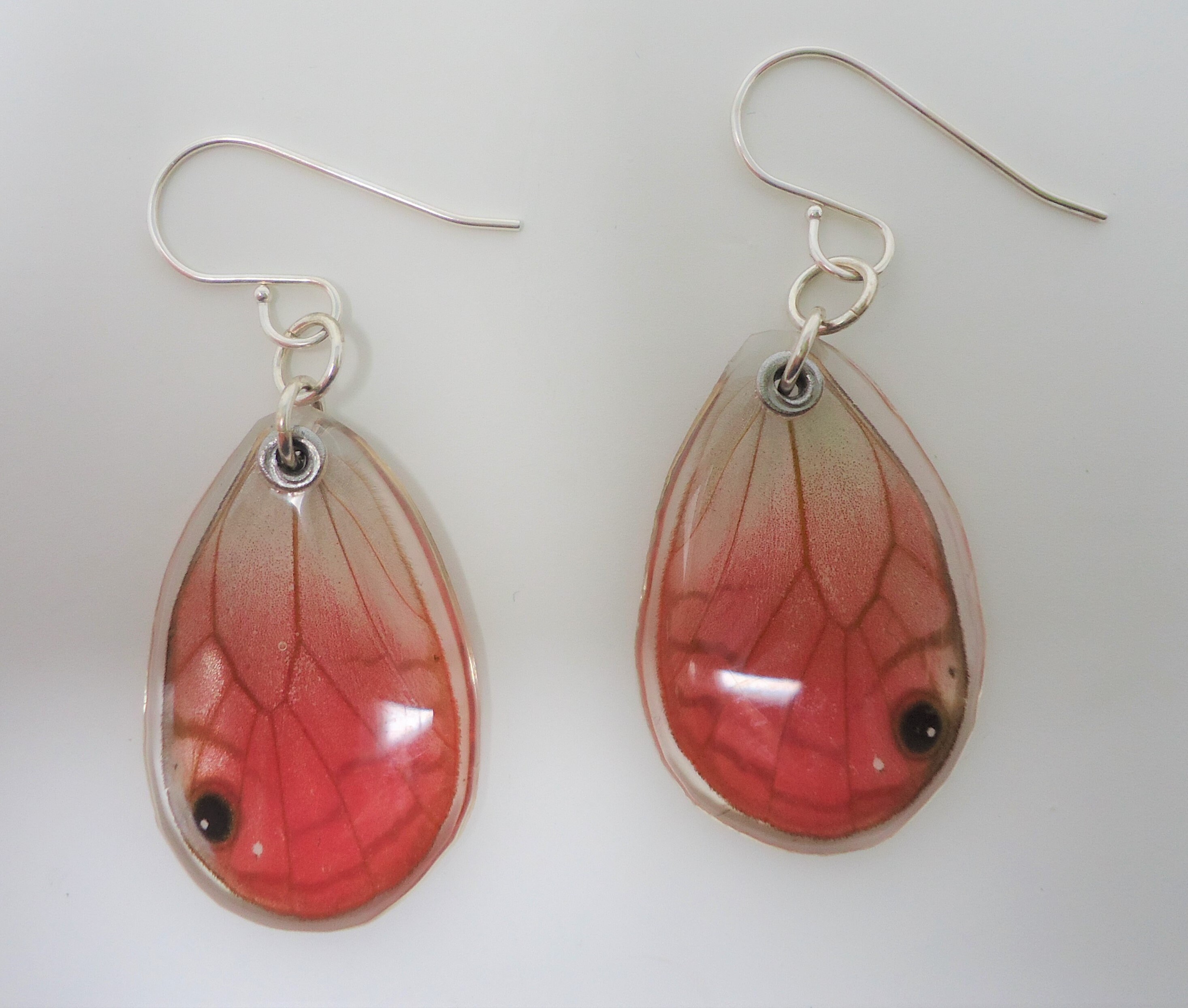 Pink Tipped Satyr Real Butterfly Wing Resin Earrings | Etsy