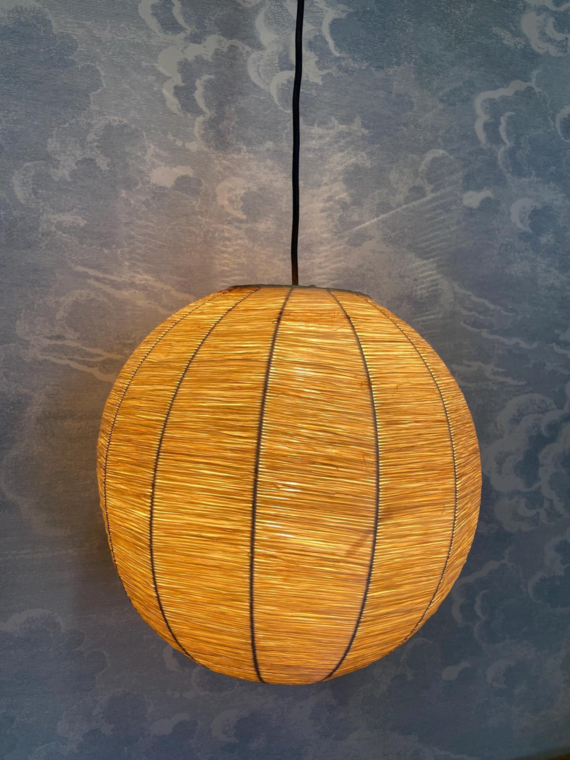 Bast Globe Pendant Light on Metal Frame, Germany Late 60s Early 70s - Etsy