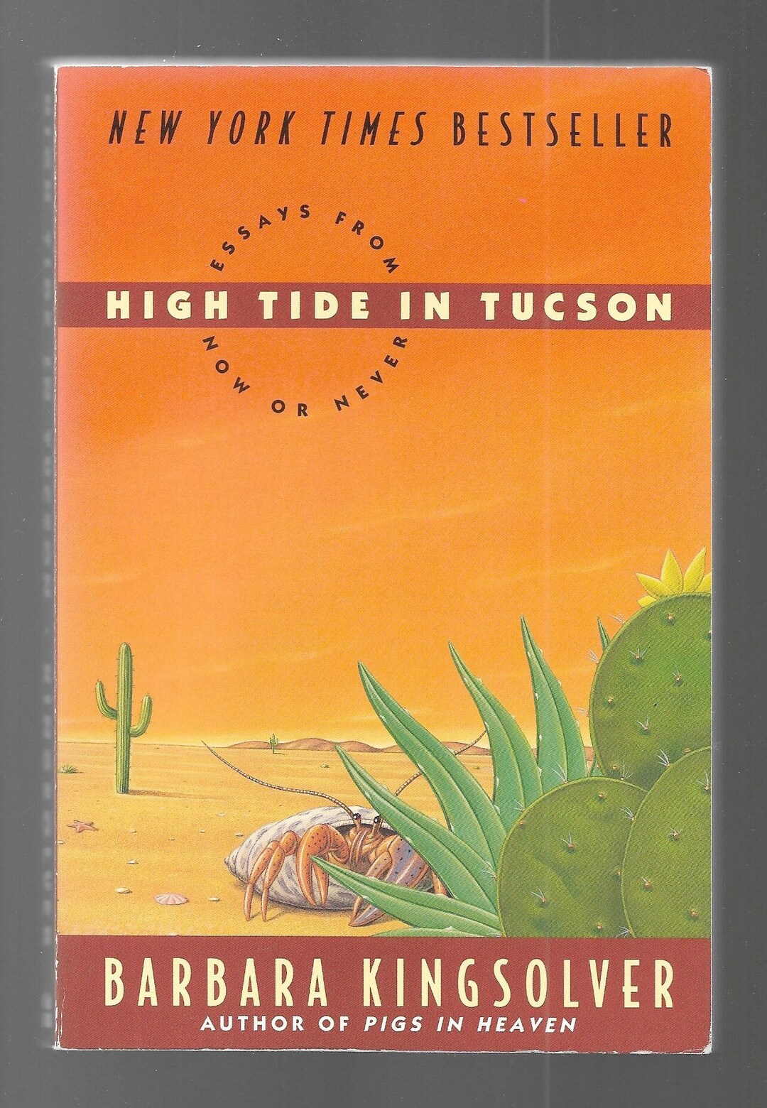 High Tide in Tucson: Essays From Now or Never by Barbara Kingsolver ...