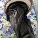Renaissance Medieval Tudor Hood Hat Headpiece - Etsy